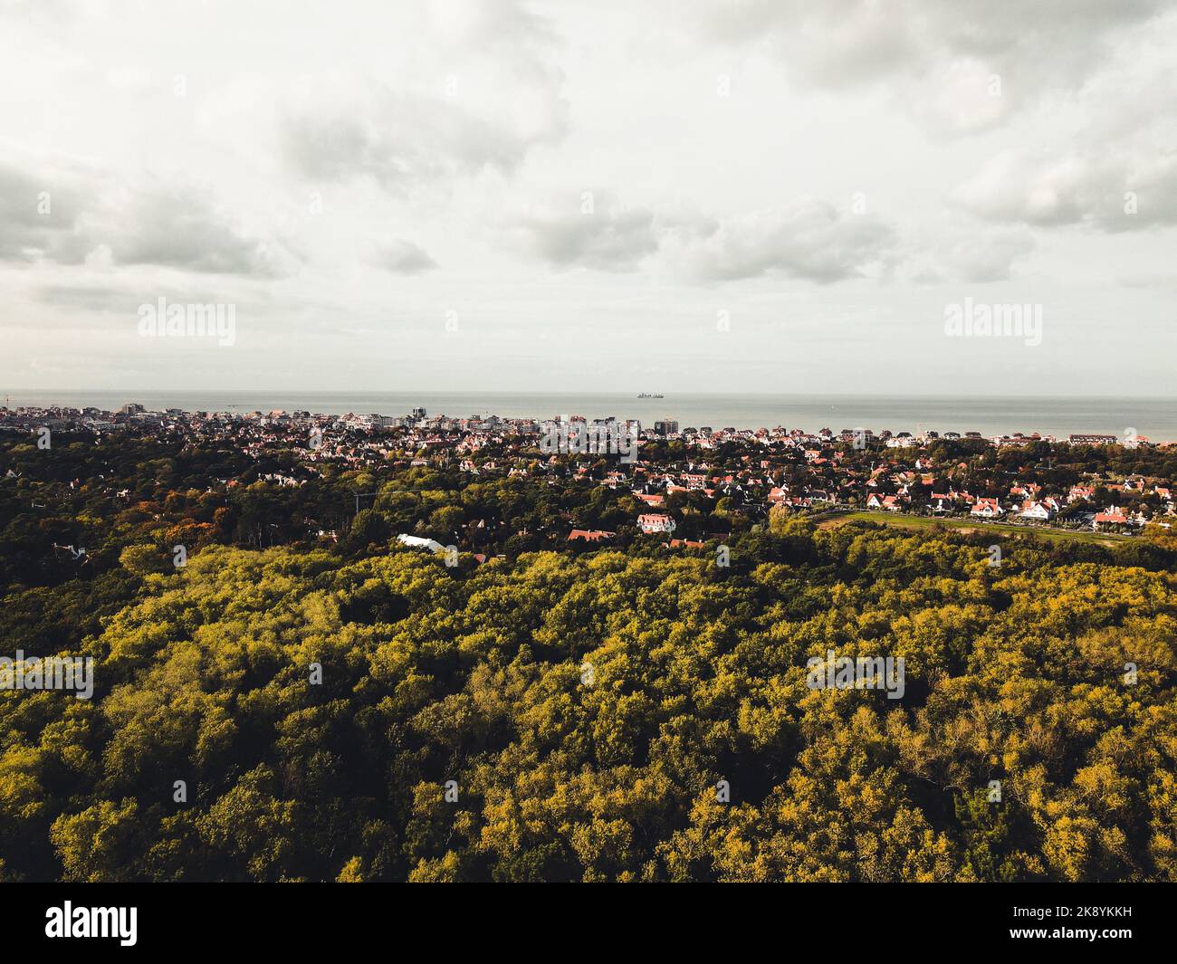 Aerial under trees on white hi-res stock photography and images - Alamy
