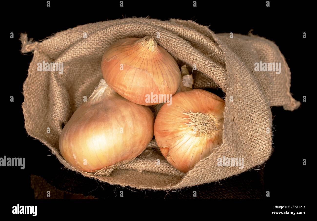 Three ripe, not peeled onions in a jute bag, close-up, on a black ...