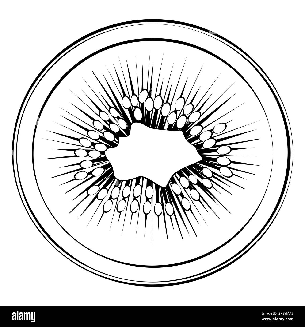 A slice of kiwi in a thin line. Vector on a white background Stock ...