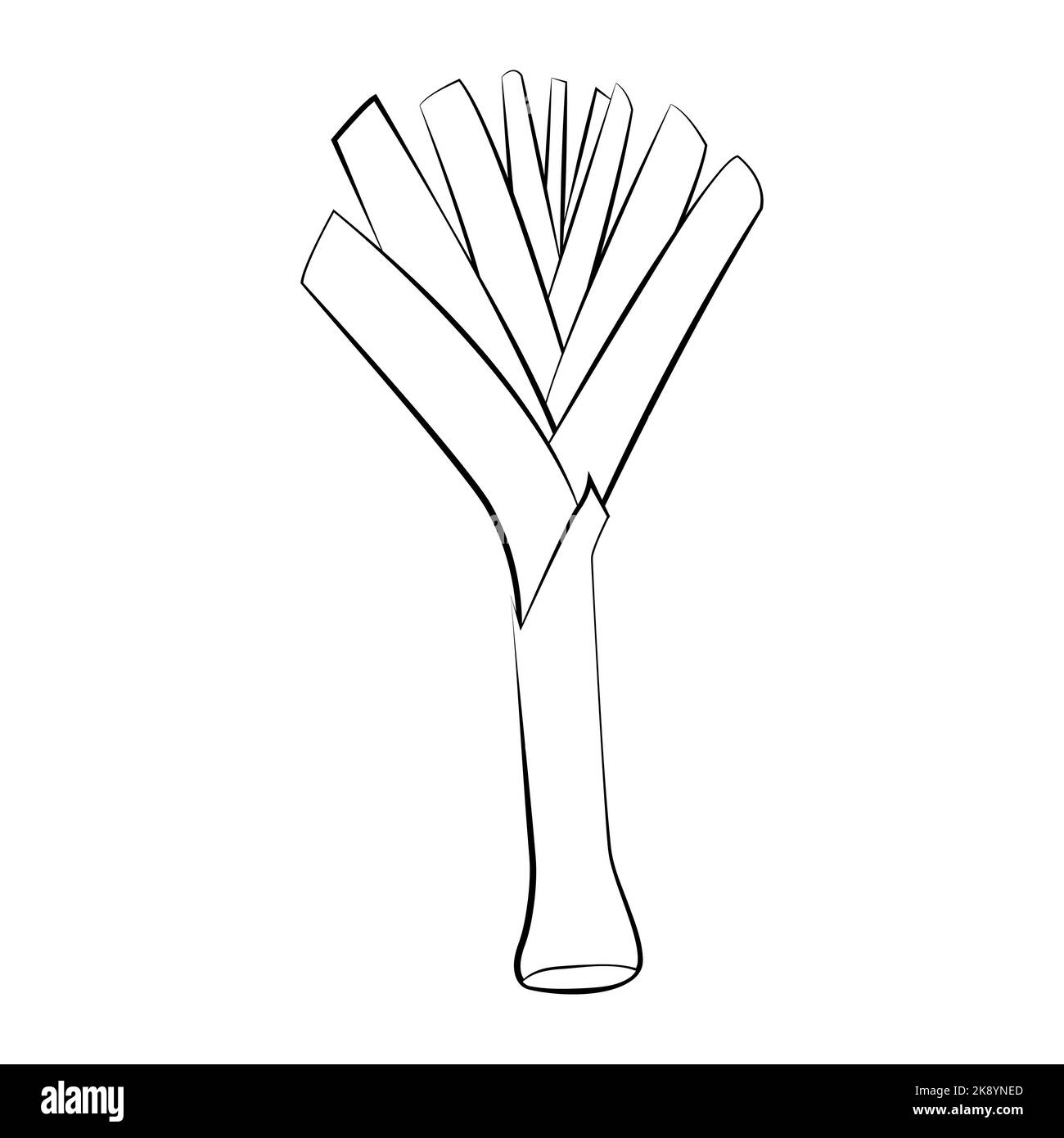 Leek in a thin line. Vector on a white background Stock Vector Image ...
