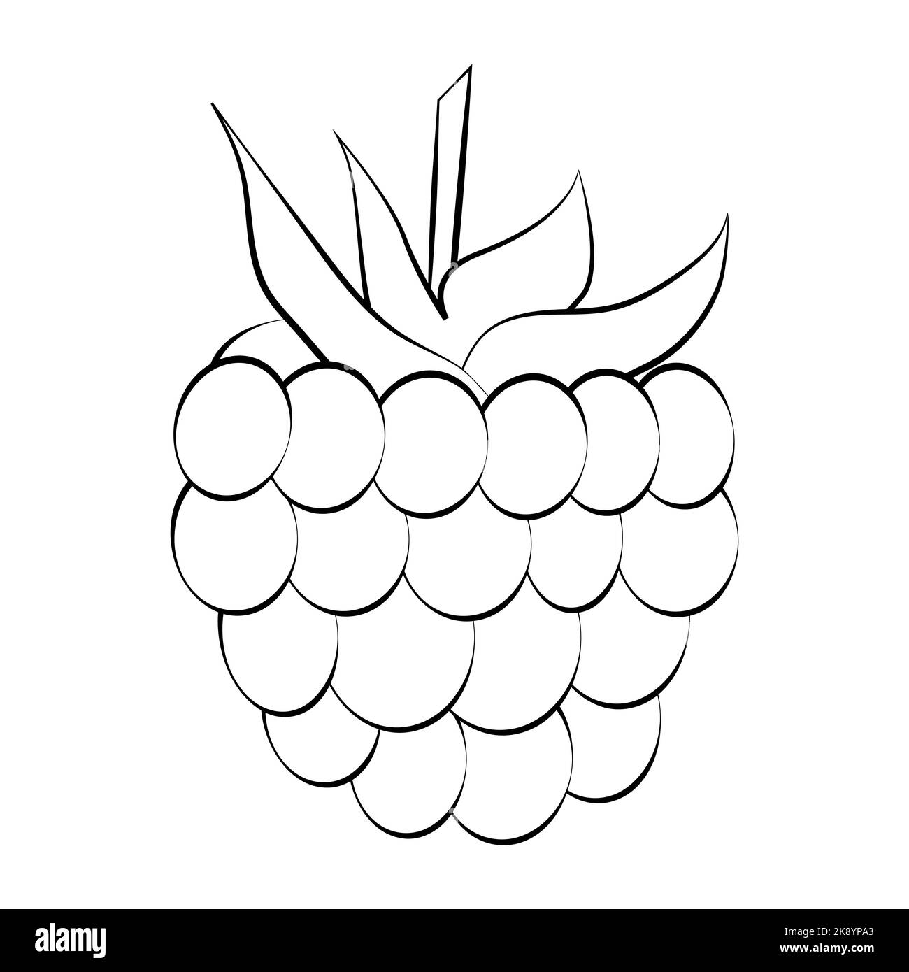 Raspberries are a thin line. Vector on a white background Stock Vector ...