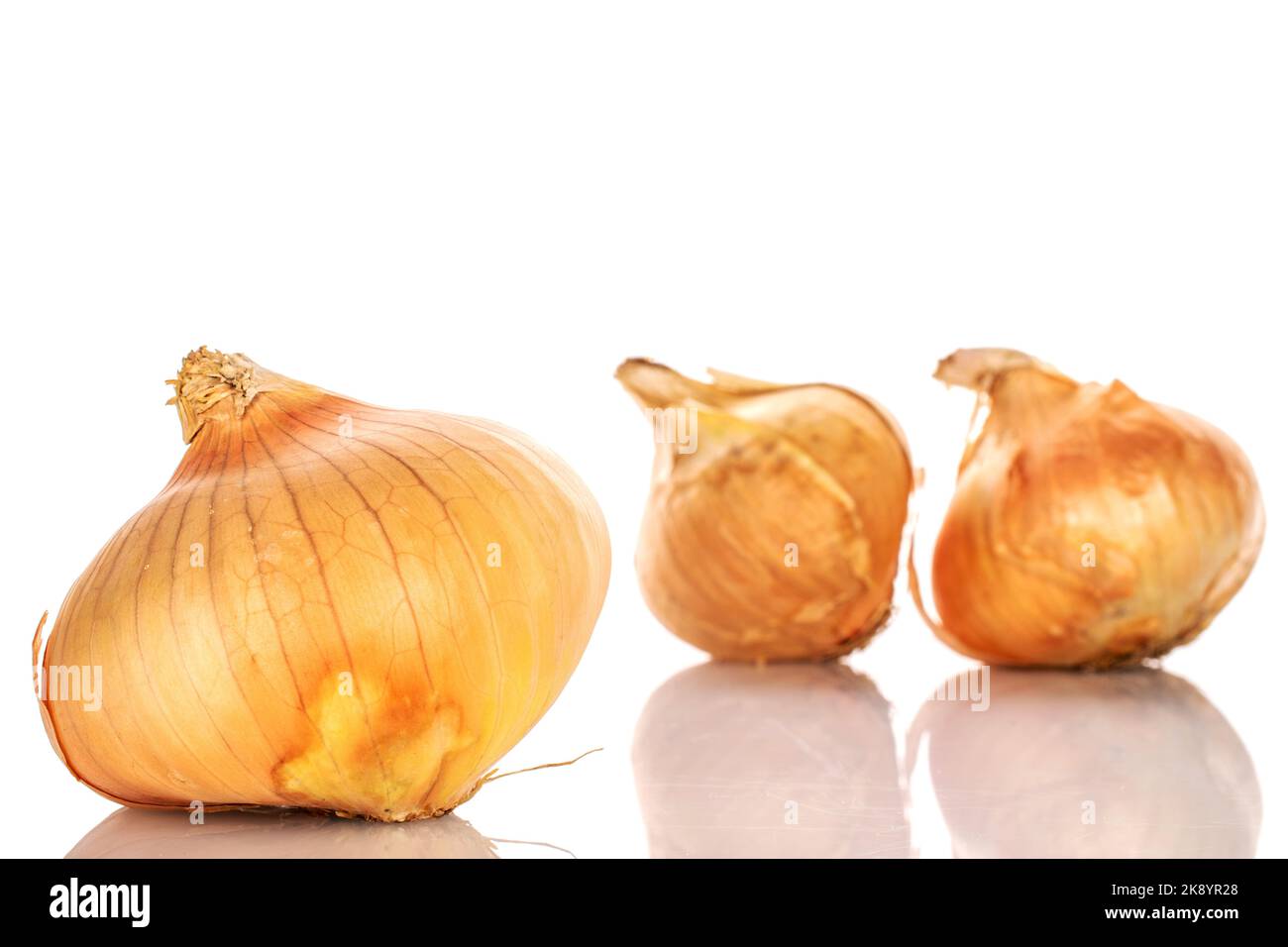 Three round fragrant onions, close-up, isolated on white Stock Photo ...