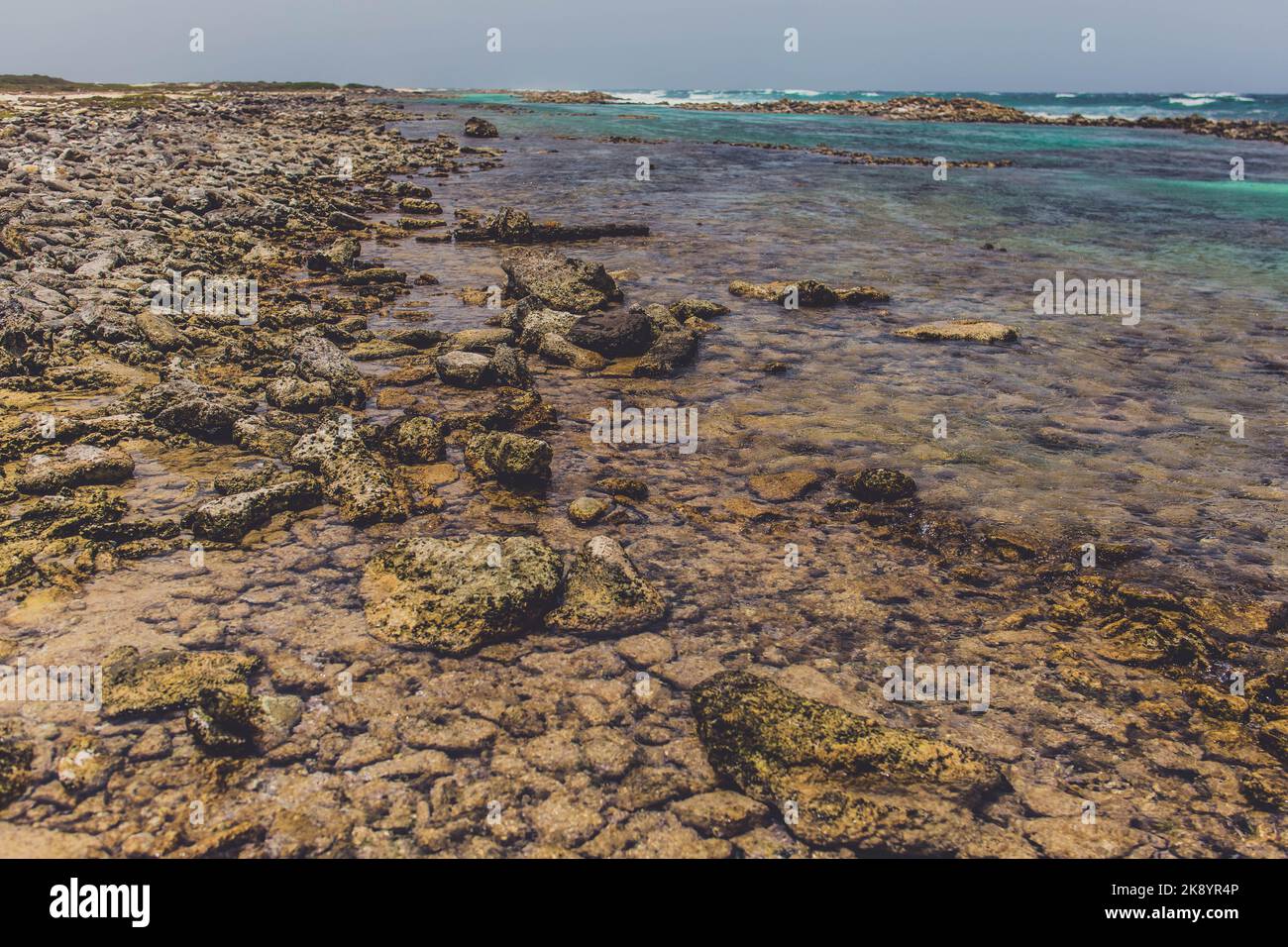 A scenic view of the rocky seacoast under the clear blue sky, Aruba ...