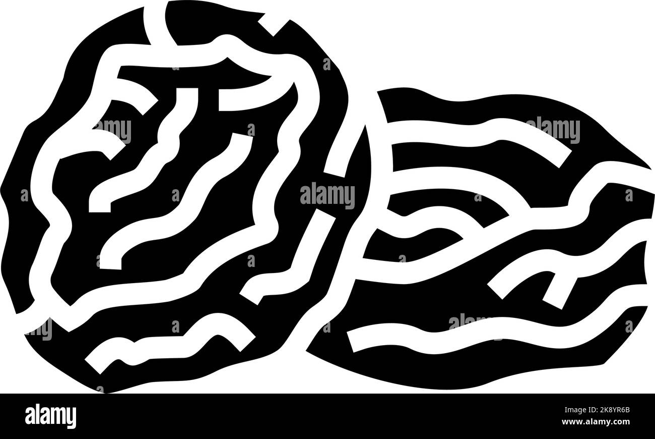 apricot dried fruit glyph icon vector illustration Stock Vector Image ...