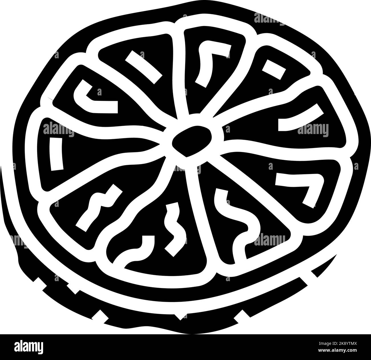 orange dried fruit glyph icon vector illustration Stock Vector Image ...