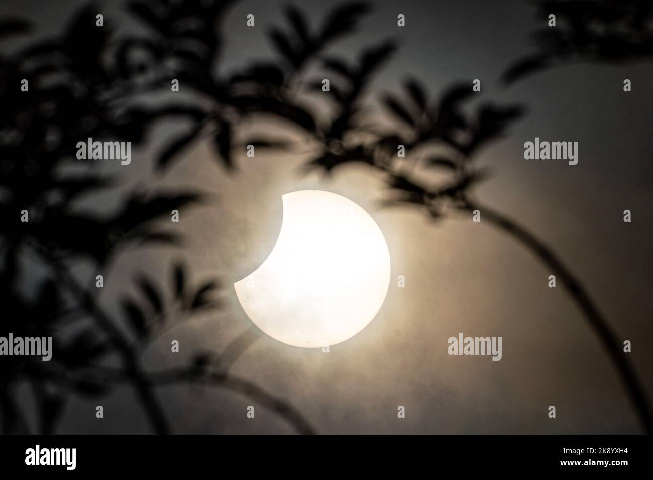 The sun as seen through trees over the skies of Bristol during a ...