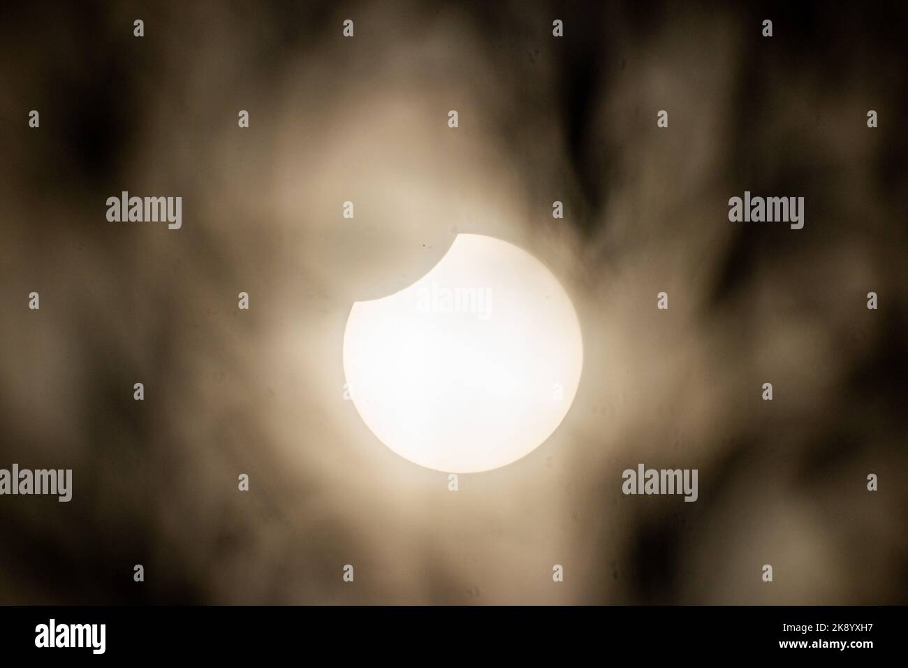 The sun as seen through trees over the skies of Bristol during a ...