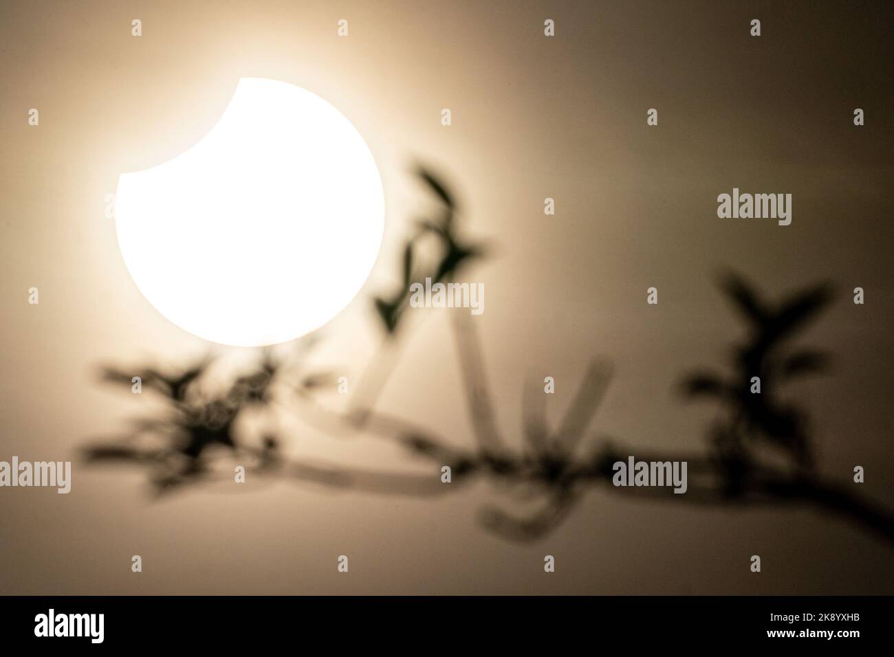 2022 solar eclipse hi-res stock photography and images - Alamy