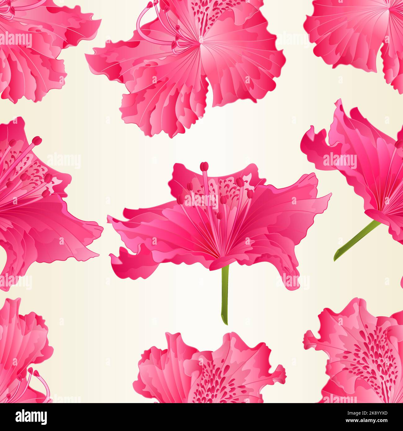 Seamless texture beautiful Flowers of pink Rhododendrons Ponticum ...
