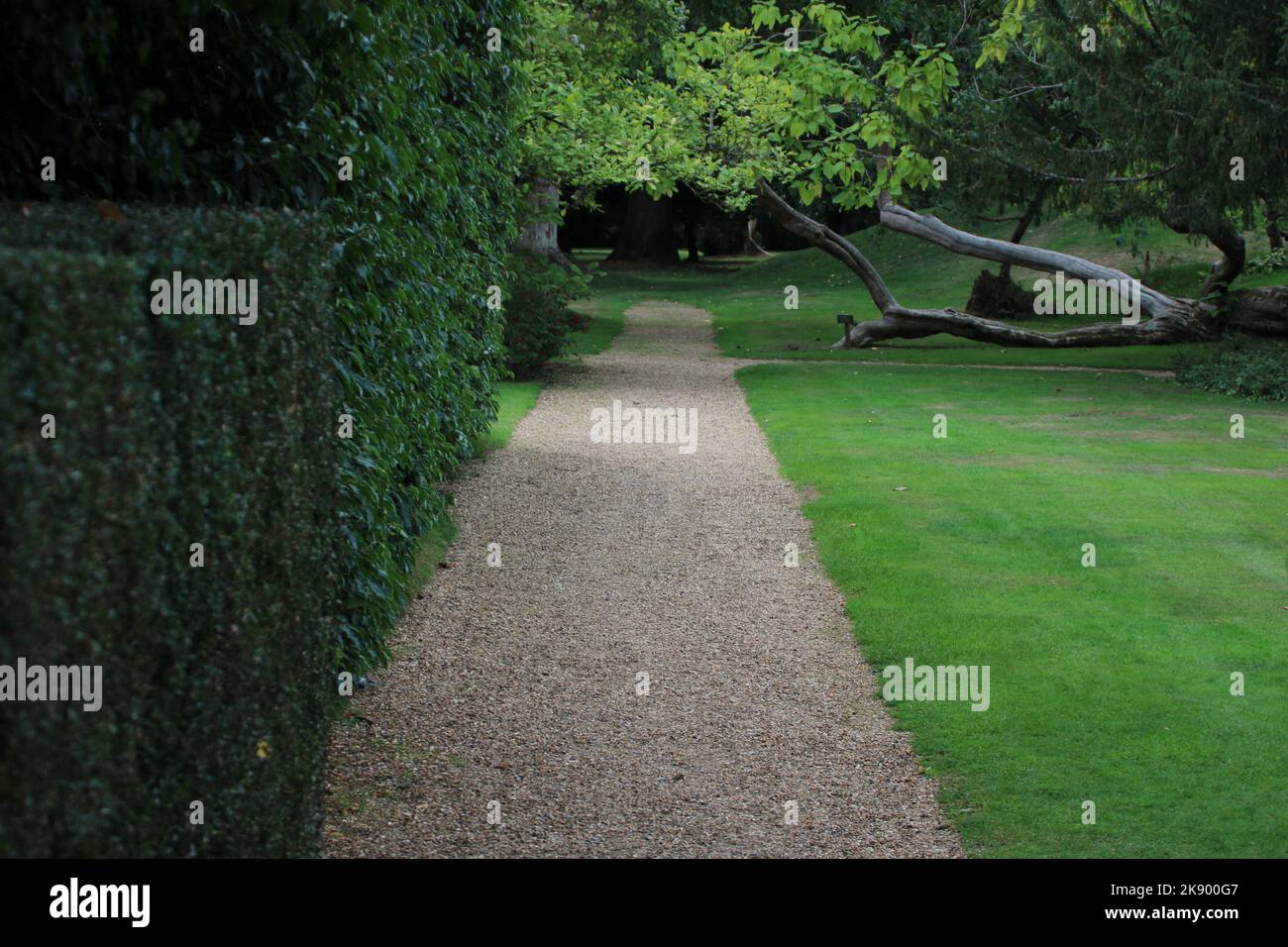 A pathway in the Knebworth house garden, UK Stock Photo - Alamy