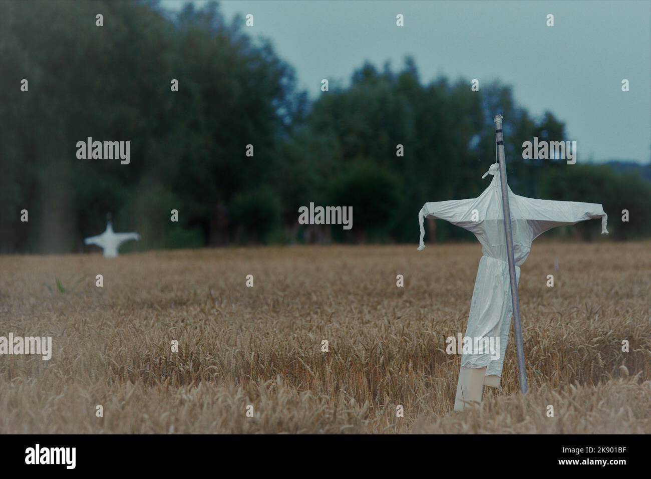 Plastic bag scarecrow hi-res stock photography and images - Alamy