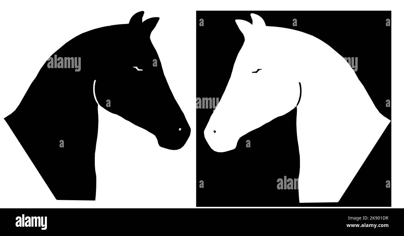 White Horse Head Side View