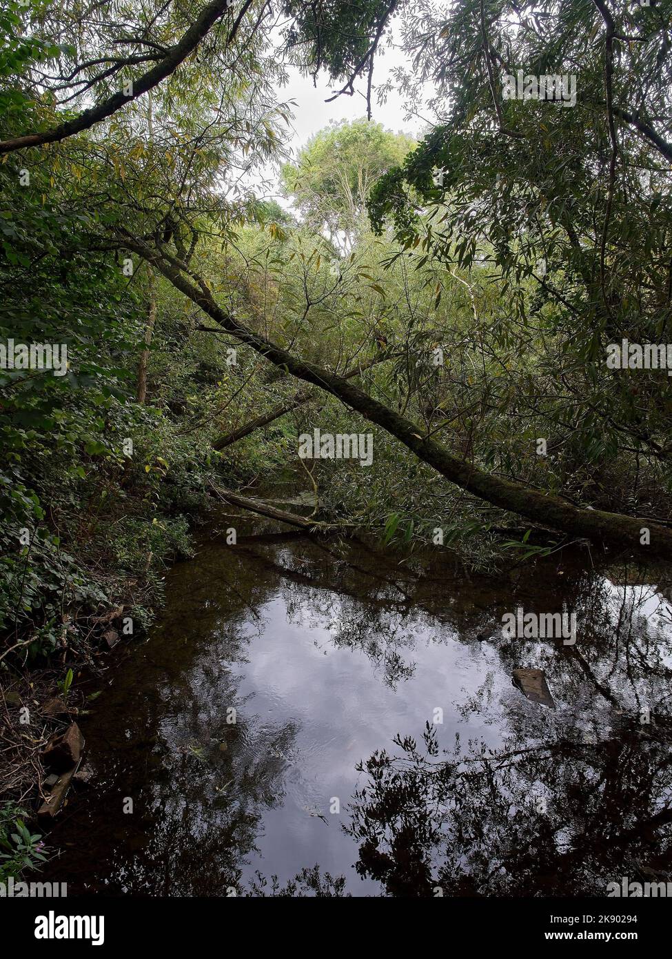 Aylestone water hi-res stock photography and images - Alamy