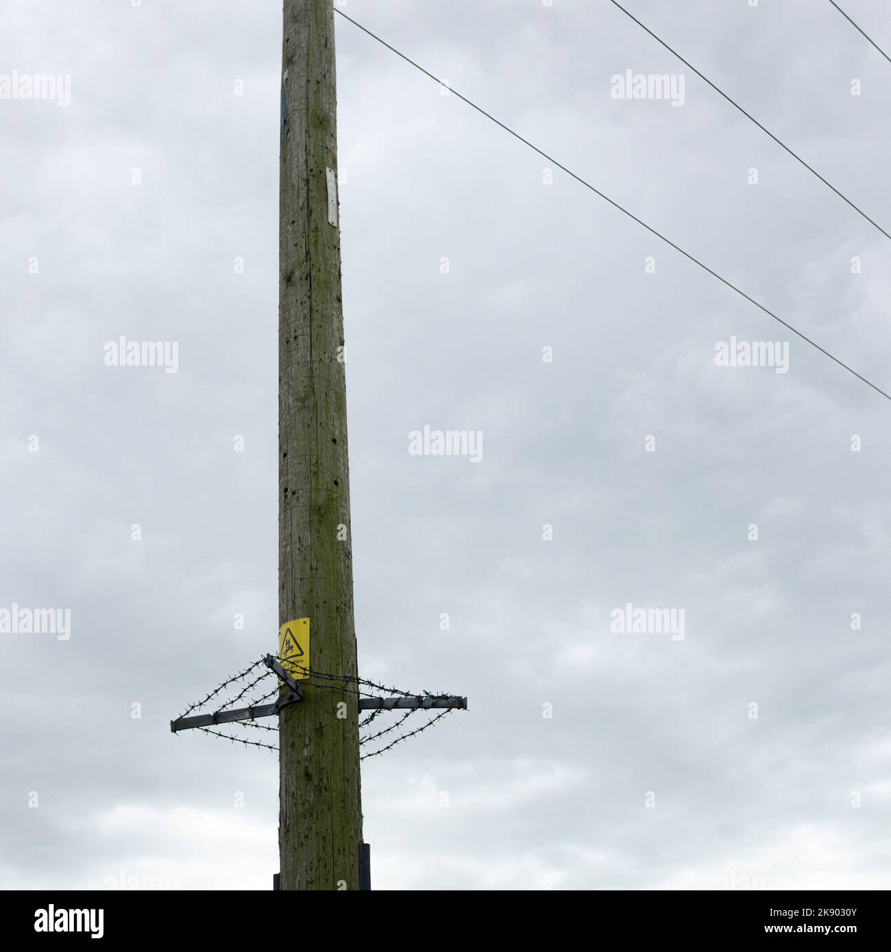 Pole carrying high voltage local distribution power lines Stock Photo ...