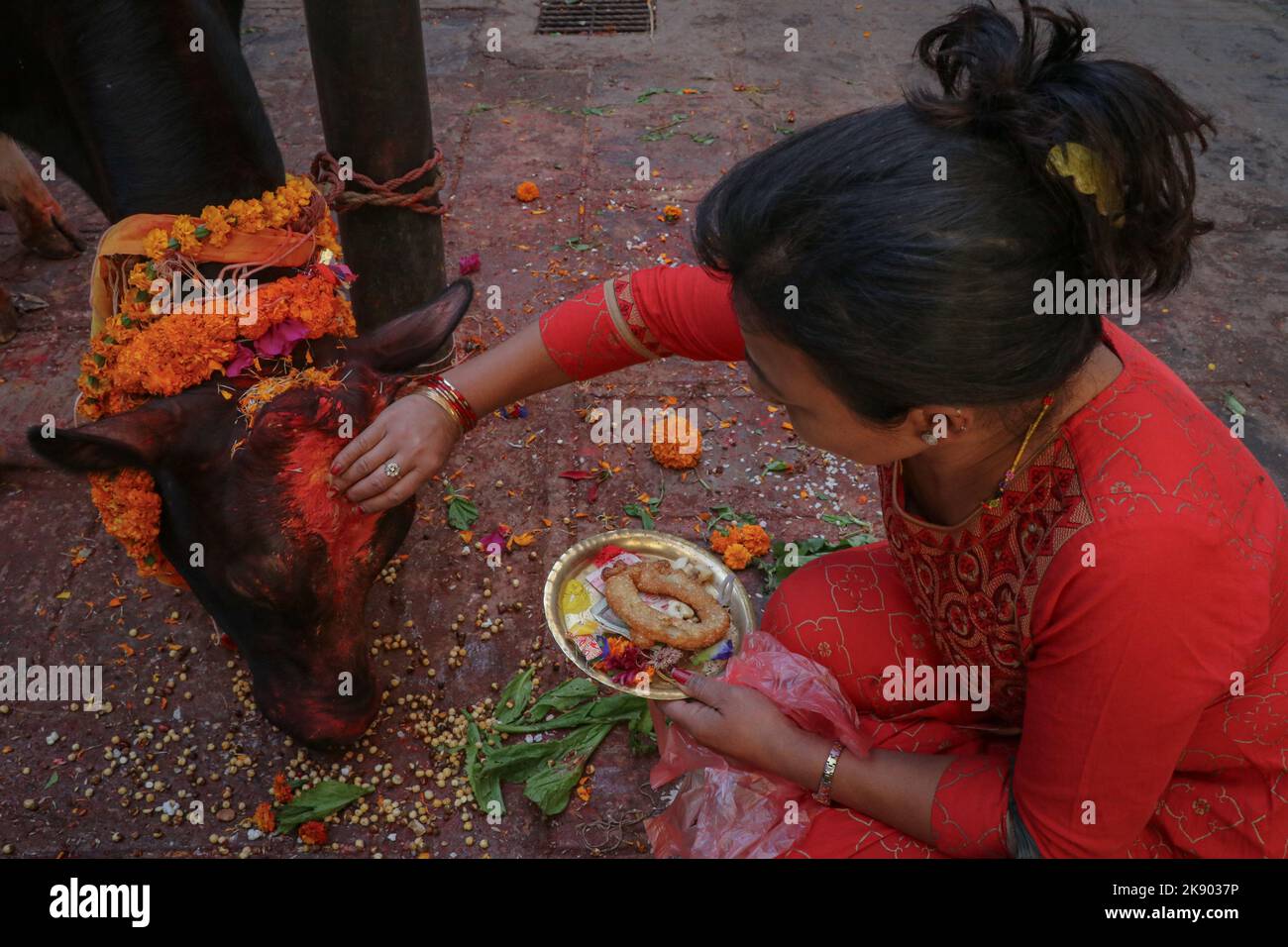 Kathmandu, Nepal. 25th Oct, 2022. On October.25, 2022 in Kathmandu ...