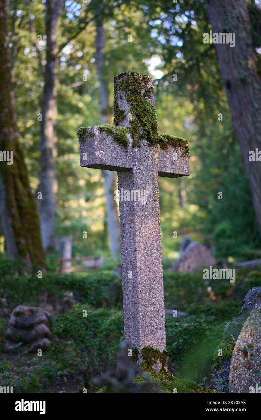 A vertical shot of a concrete cross covered in moss in an old cemetery ...