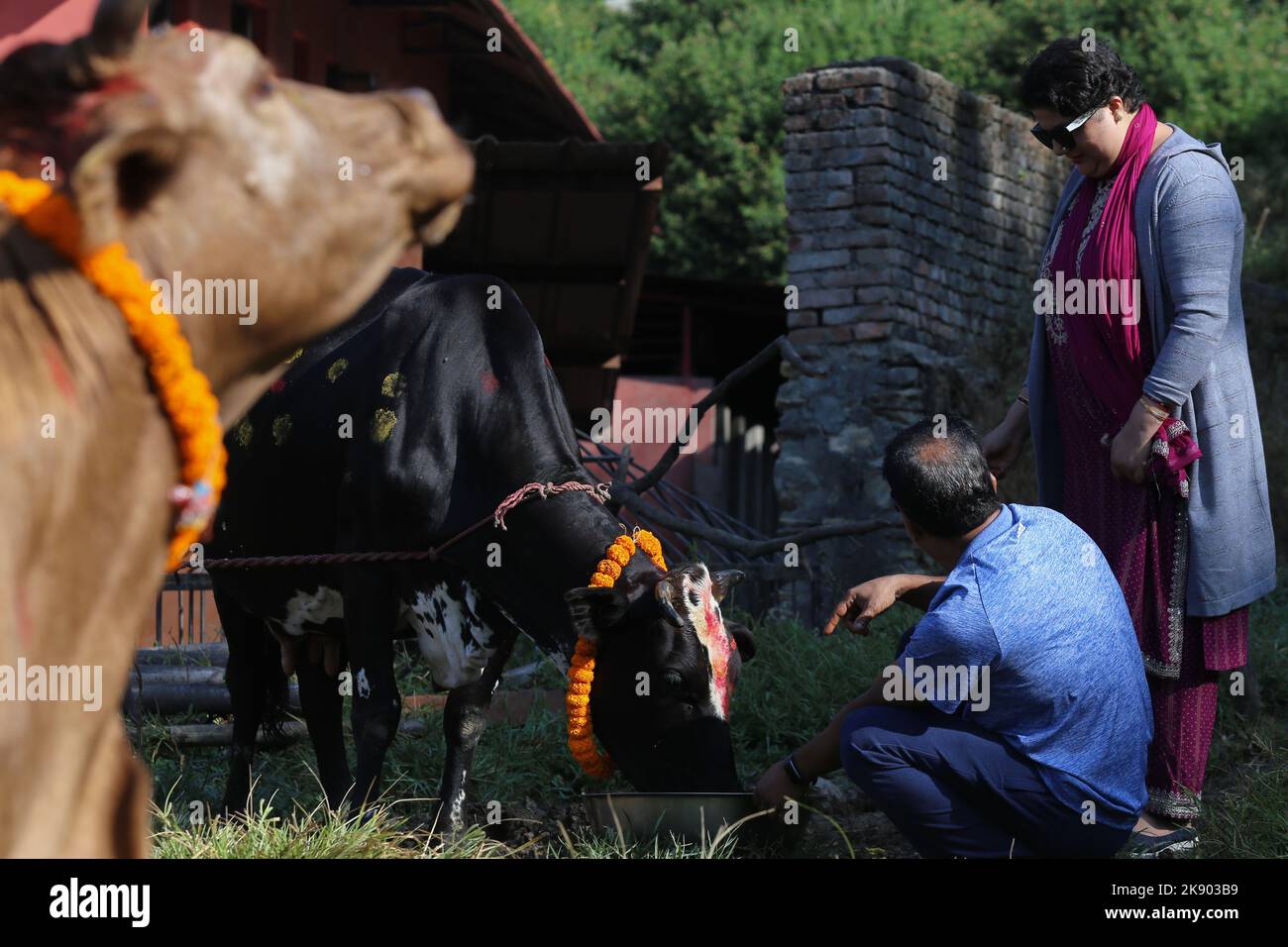 Kathmandu, Nepal. 25th Oct, 2022. On October.25, 2022 in Kathmandu ...