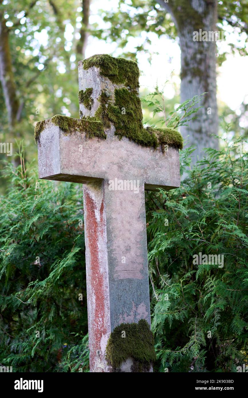 A vertical shot of a concrete cross covered in moss in an old cemetery ...