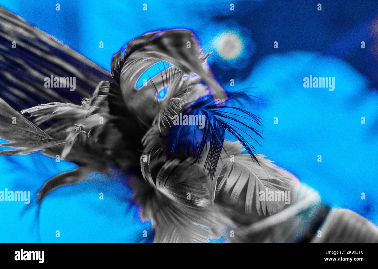 ' Blue Haunting ' Abstract cover in blue Stock Photo - Alamy