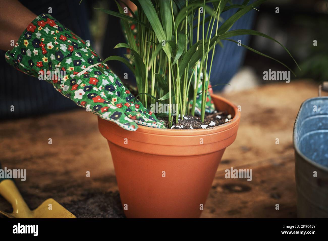 Theres no such thing as too many pot plants. an unrecognizable florist ...