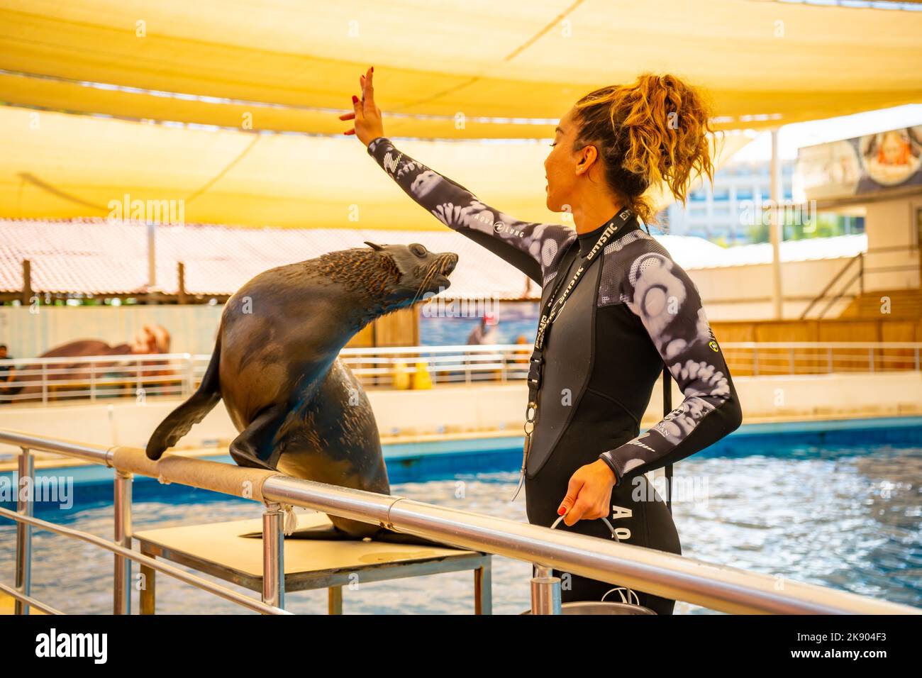 Antalya, Turkey - September 28, 2022: Show with dolphins and sea leon ...