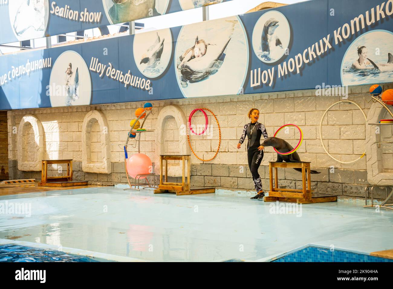 Antalya, Turkey - September 28, 2022: Show with dolphins and sea leon ...