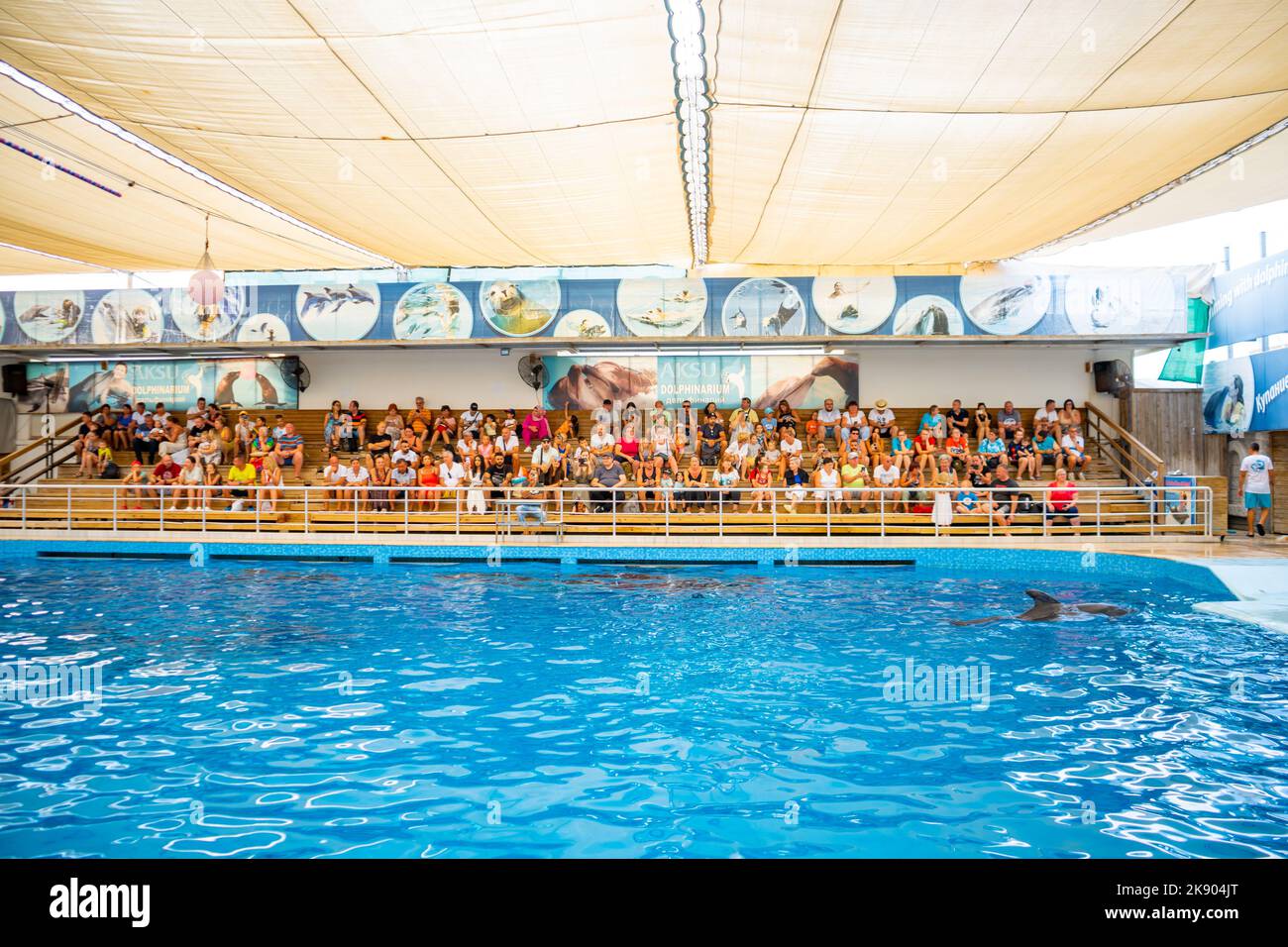 Antalya, Turkey - September 28, 2022: Show with dolphins and sea leon ...