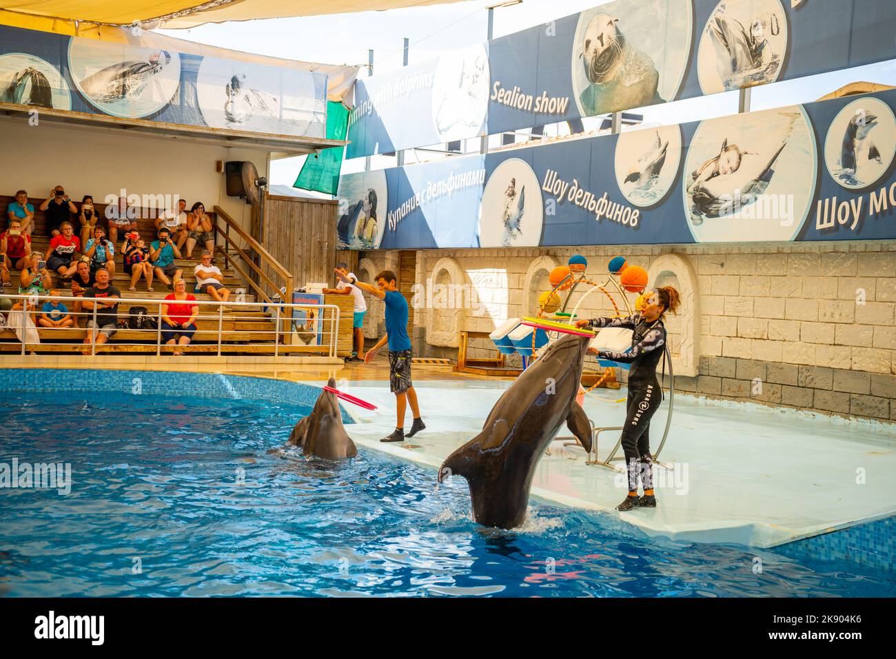Antalya, Turkey - September 28, 2022: Show with dolphins and sea leon ...
