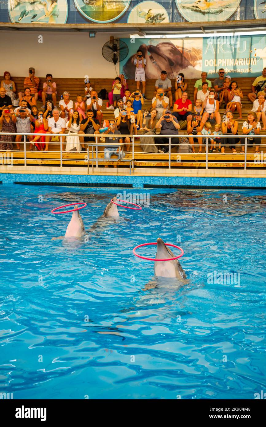 Antalya, Turkey - September 28, 2022: Show with dolphins and sea leon ...