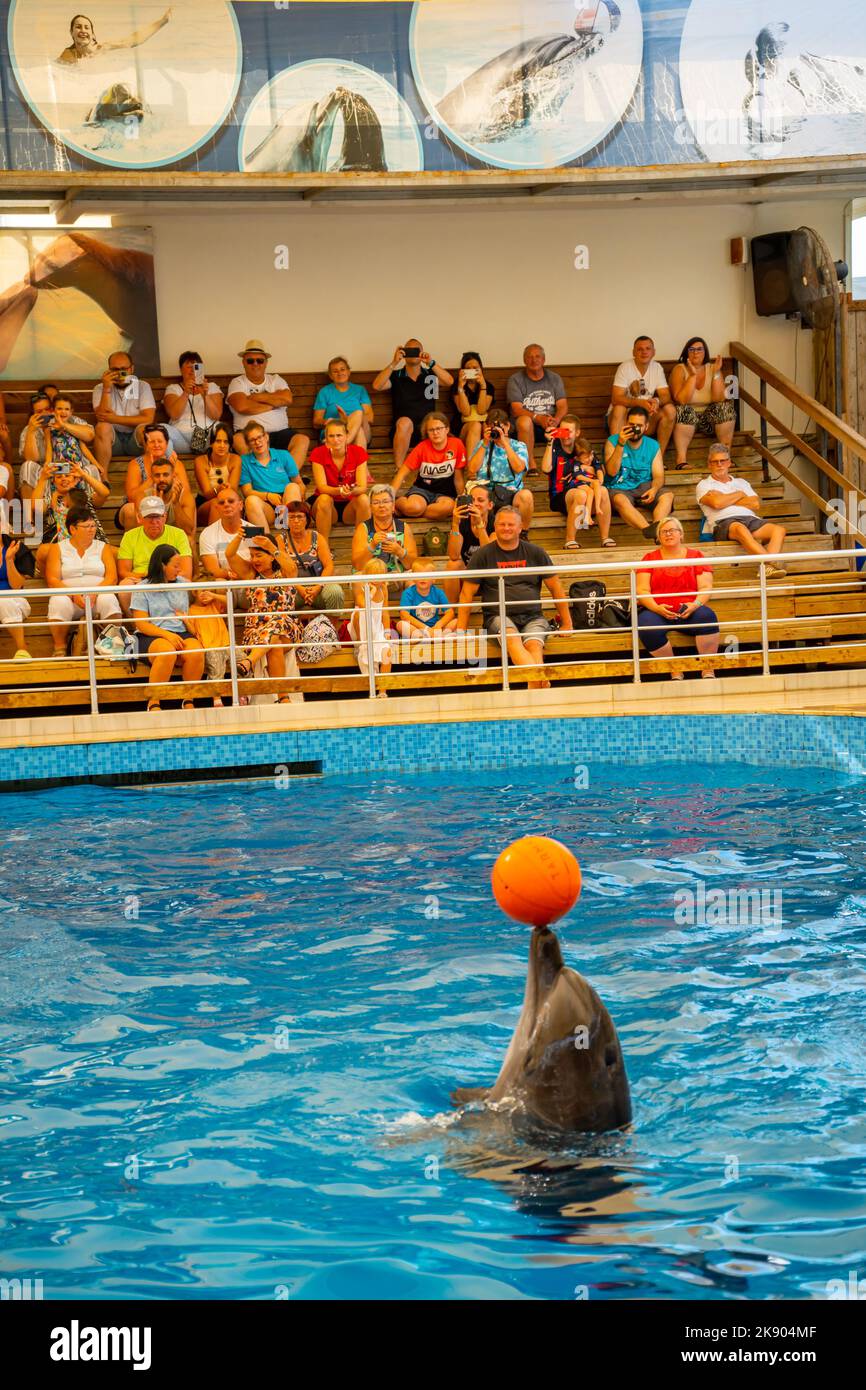 Antalya, Turkey - September 28, 2022: Show with dolphins and sea leon ...