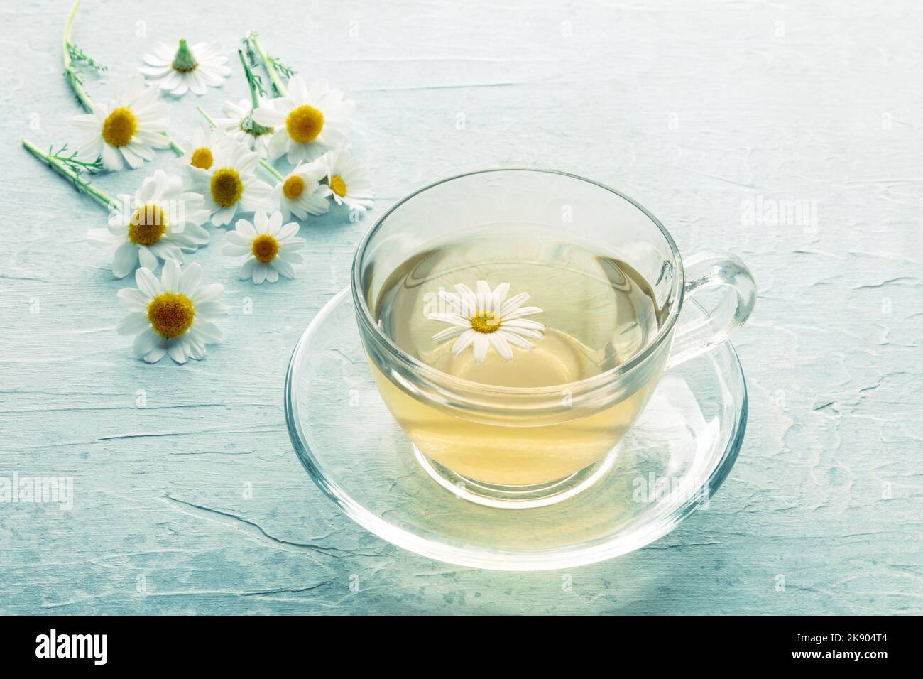 Chamomile tea plant in a plant pot hi-res stock photography and images ...