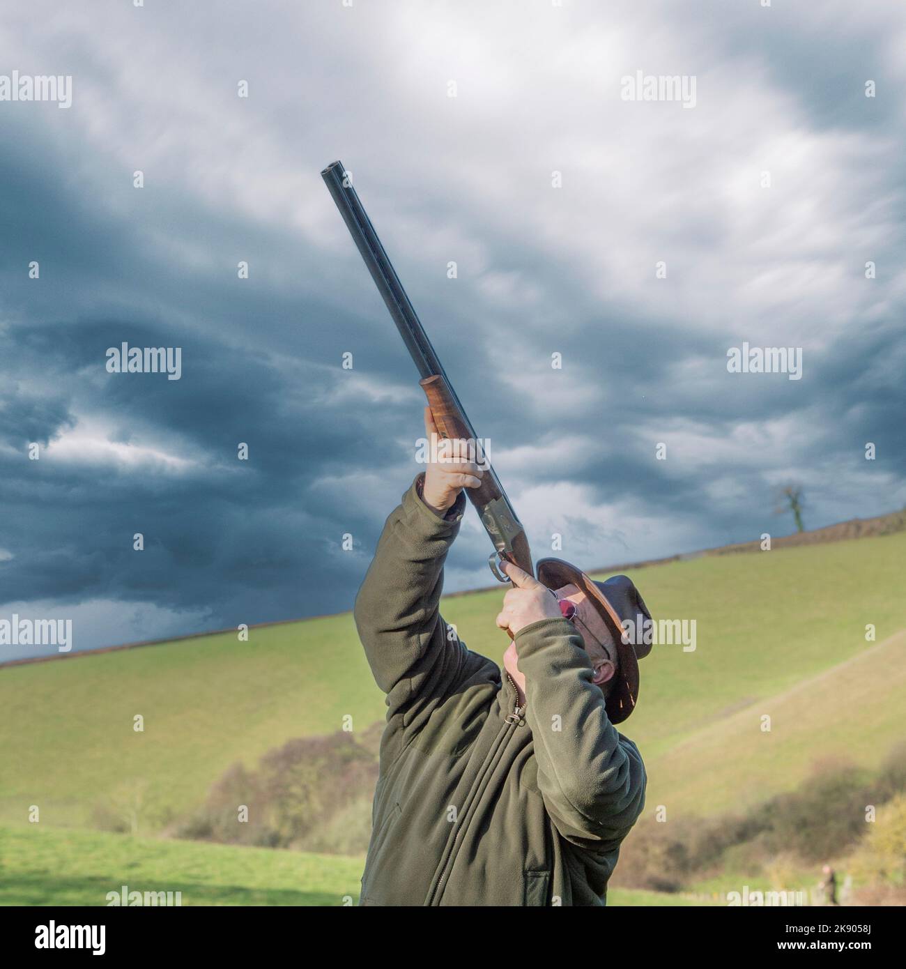 Pheasants head hi-res stock photography and images - Alamy