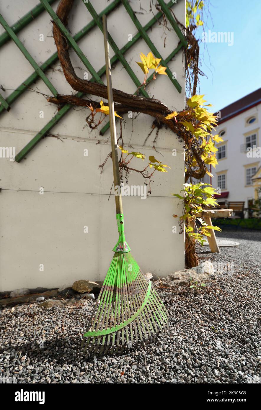 Green garden rake leaning against wall in a courtyard Stock Photo - Alamy