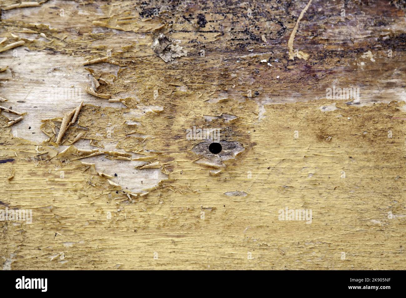 Detail of wooden grille for protection and decoration in a window Stock ...