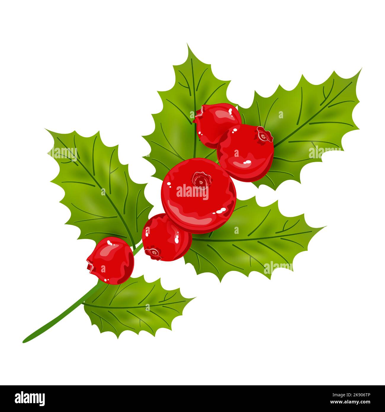 Red berries of holly hi-res stock photography and images - Alamy