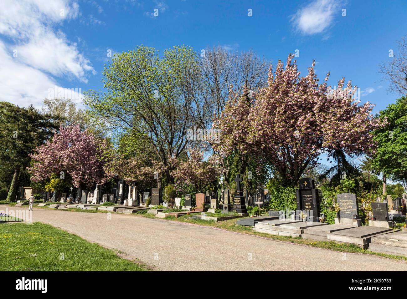 VIENNA, AUSTRIA - APR 26, 2015: view to Vienna Central Cemetery, the ...