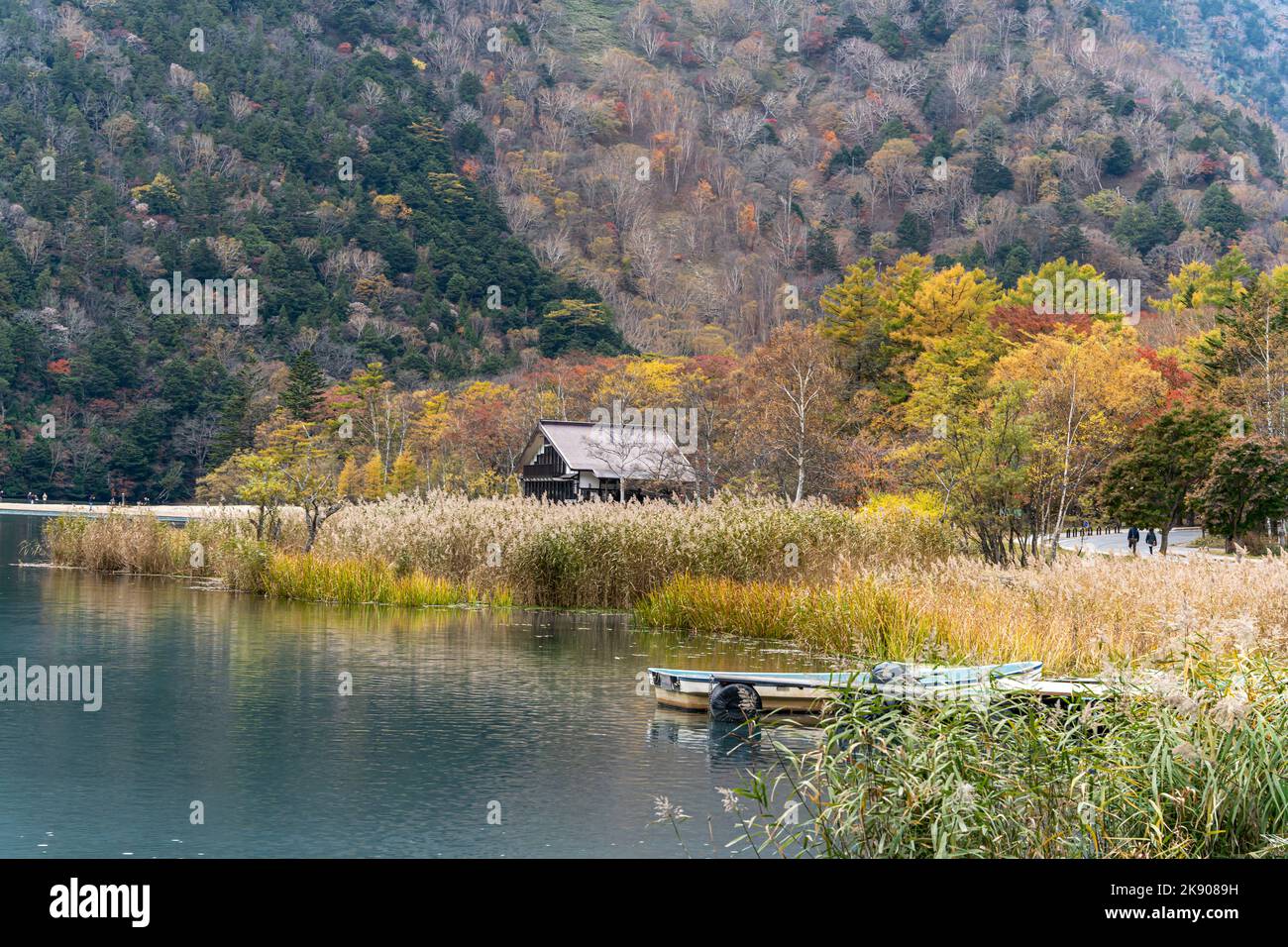 Autumn season, Near the lake, small home, beautiful story in amazing ...