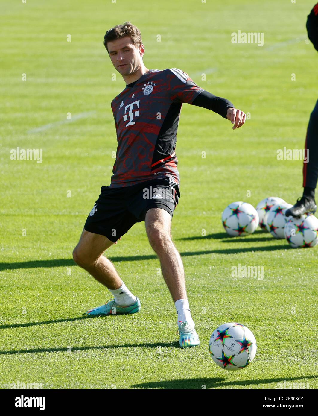 Munich, Germany. 25th Oct, 2022. Soccer: Champions League, before the ...