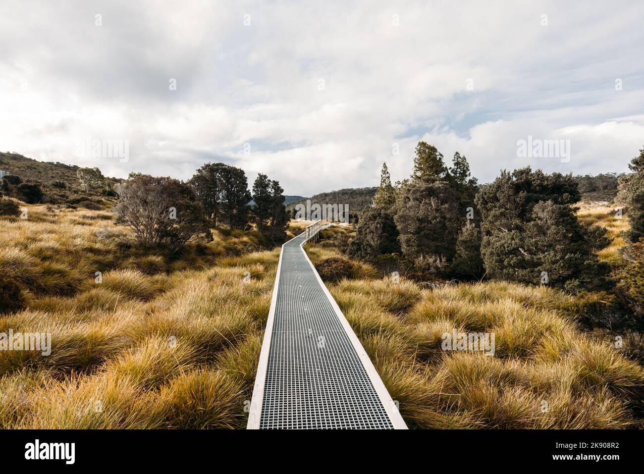 Boardwalk in tasmania hi-res stock photography and images - Alamy