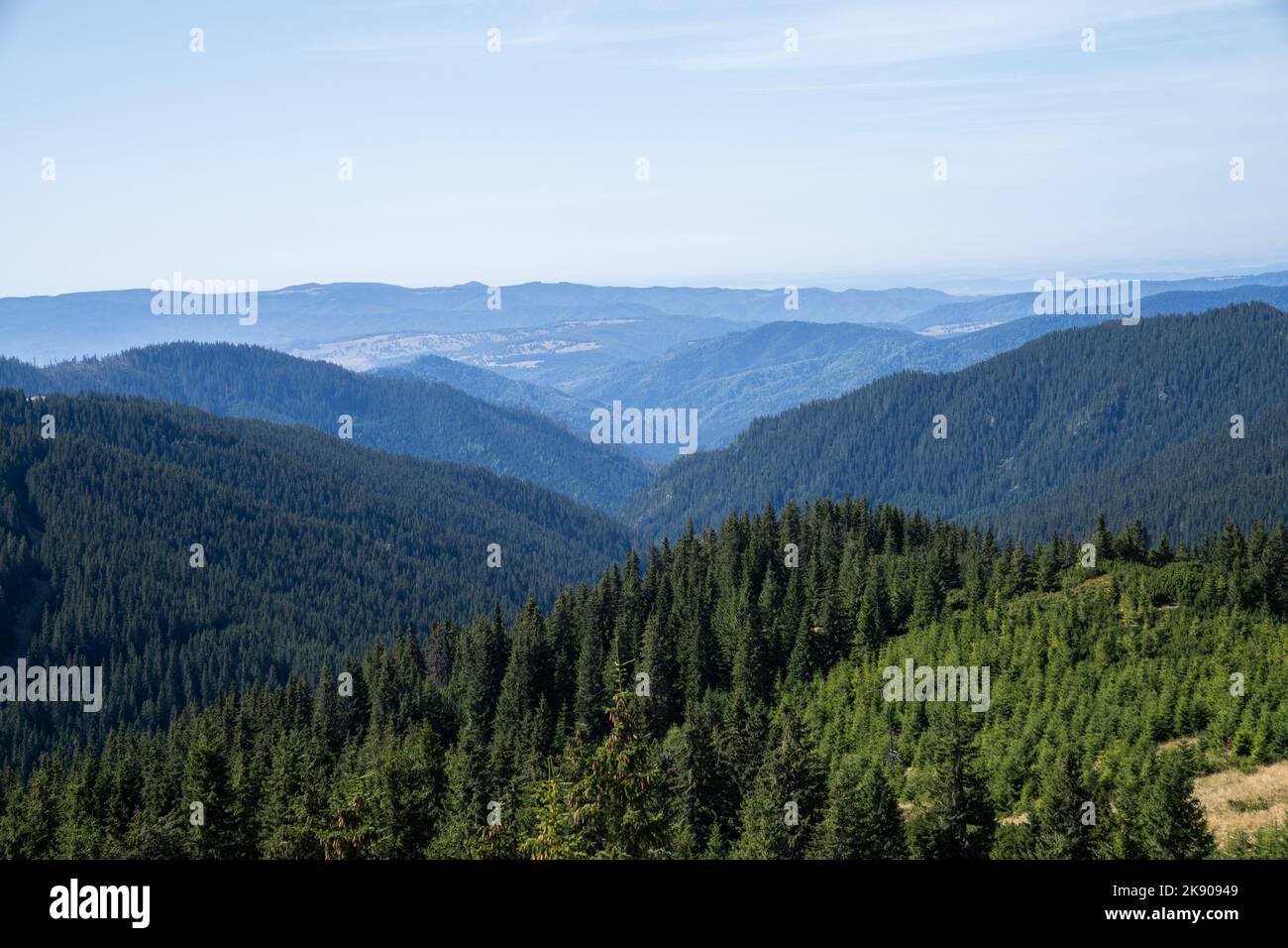 A stunning view of layered mountain ranges covered with dense pine ...