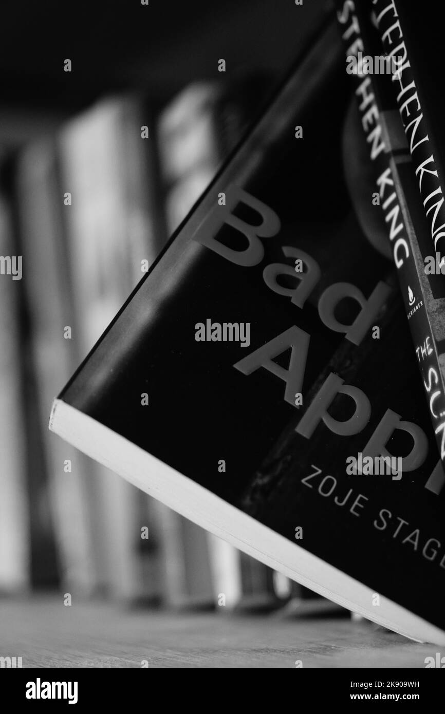 A vertical grayscale closeup of Bad Apple novel by Zoje Stage Stock ...