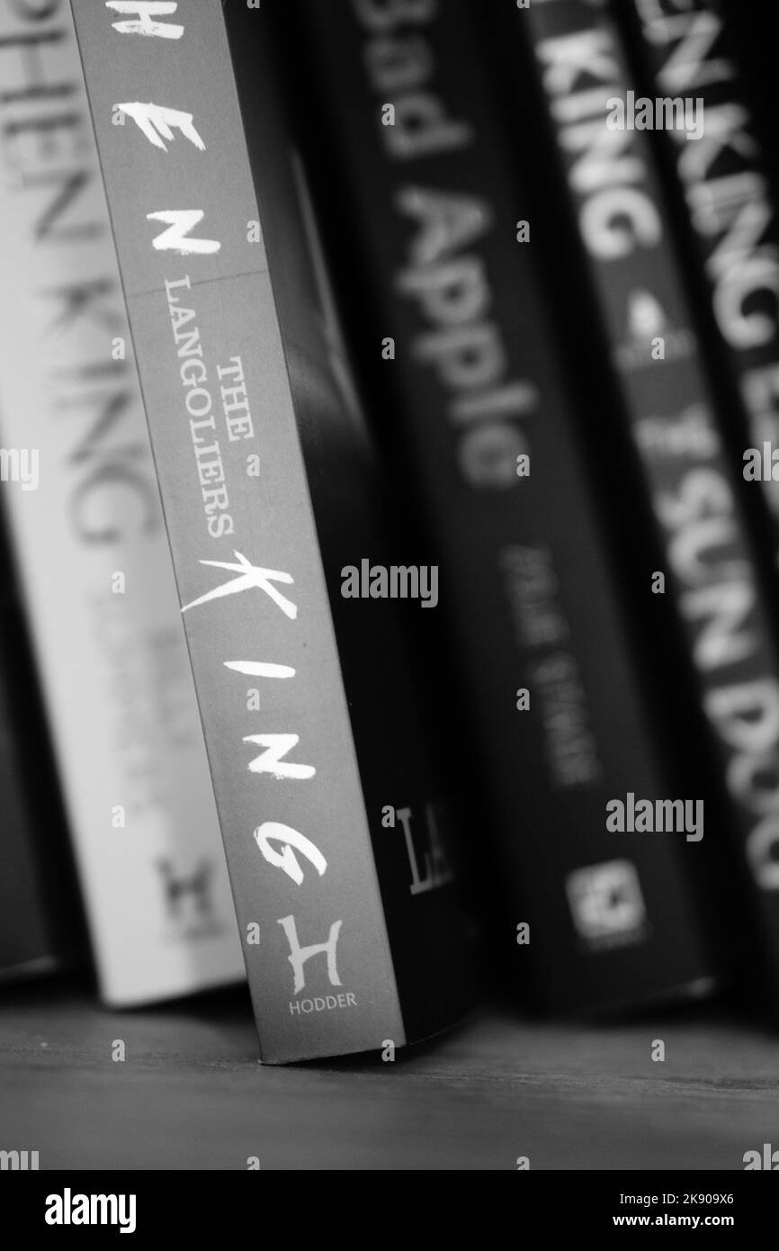 A vertical grayscale closeup of The Langoliers novel by Stephen King ...