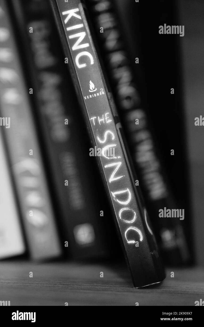 A vertical grayscale closeup of Stephen King's The Sun Dog novel on a ...