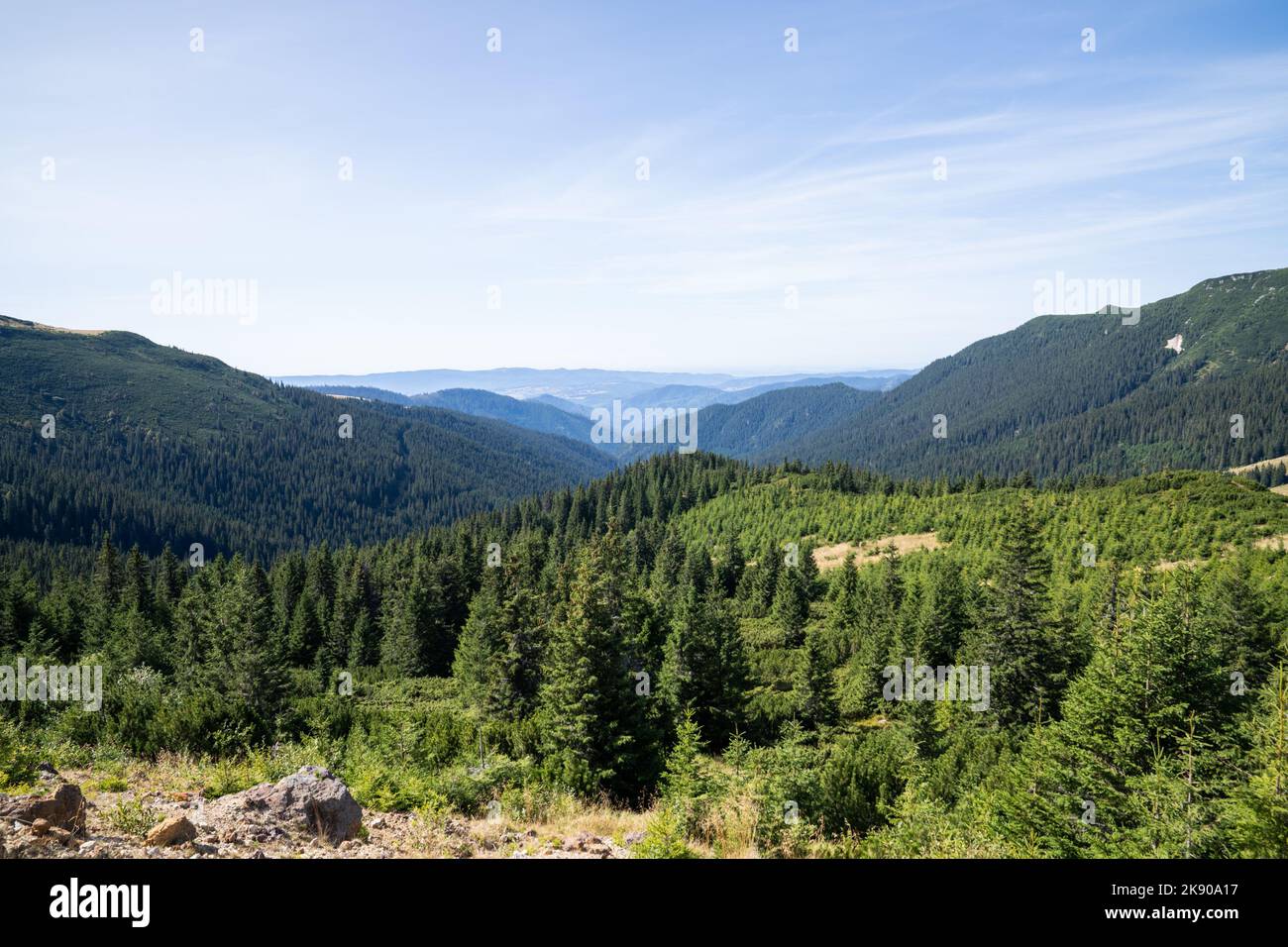 A stunning view of layered mountain ranges covered with dense pine forests under blue sky on ...