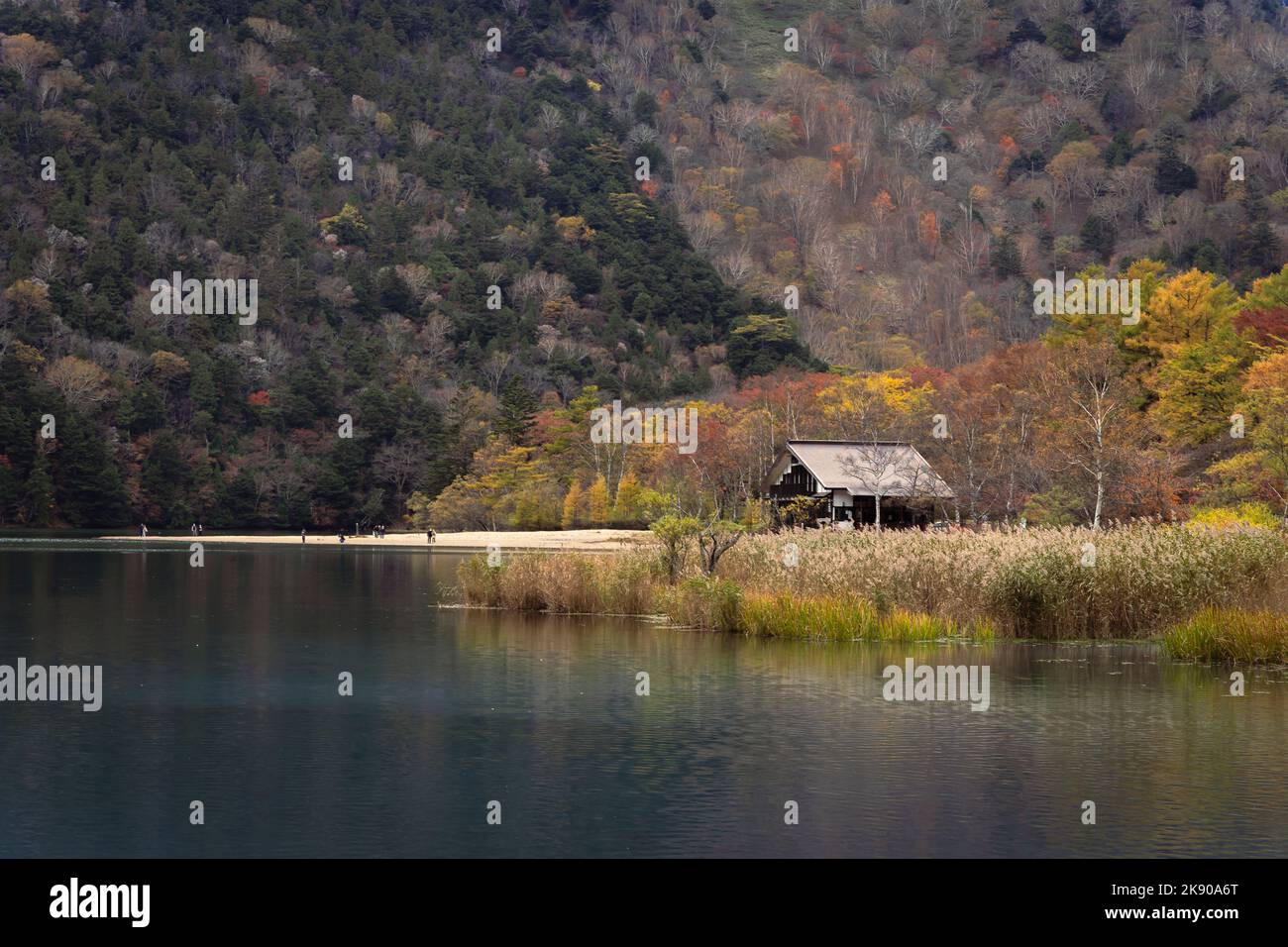 Autumn season, Near the lake, small home, beautiful story in amazing ...