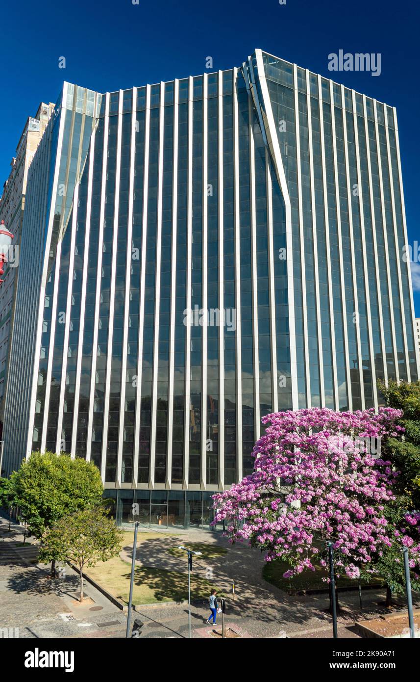 Pink Ipe tree in front of a building on Avenue of Andradas in the city ...