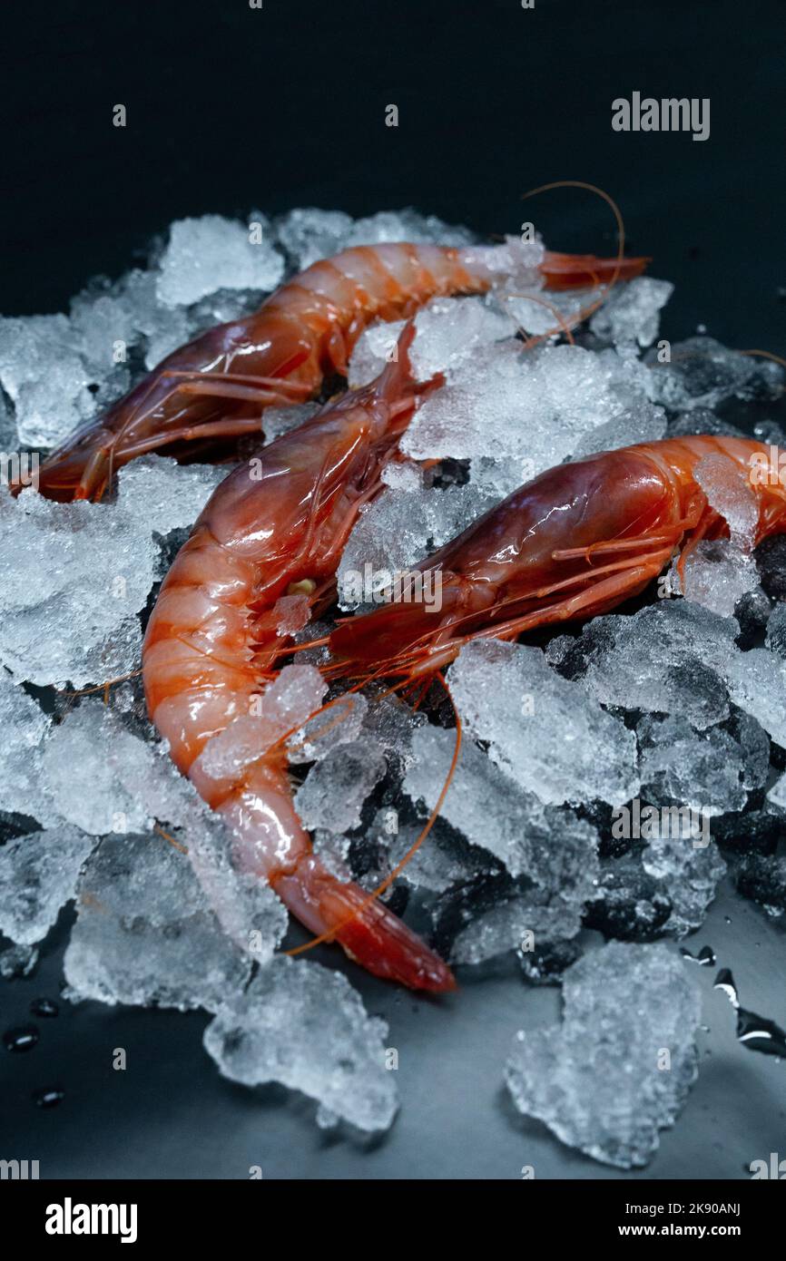 A vertical shot of raw fresh shrimps on ice displayed in a market Stock ...