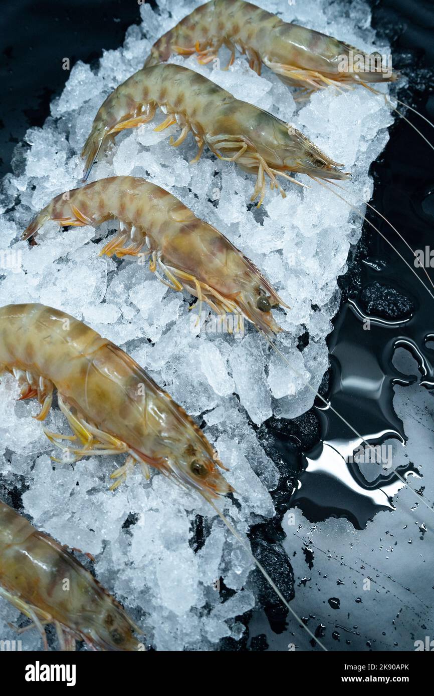A vertical shot of raw fresh shrimps on ice displayed in a market Stock ...