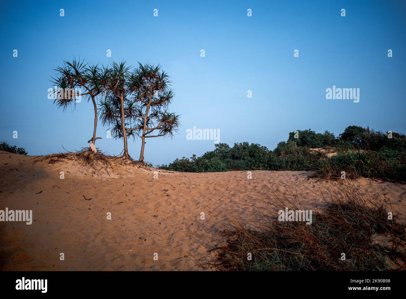 Sand Dunes view in Chumphon Thailand Stock Photo - Alamy