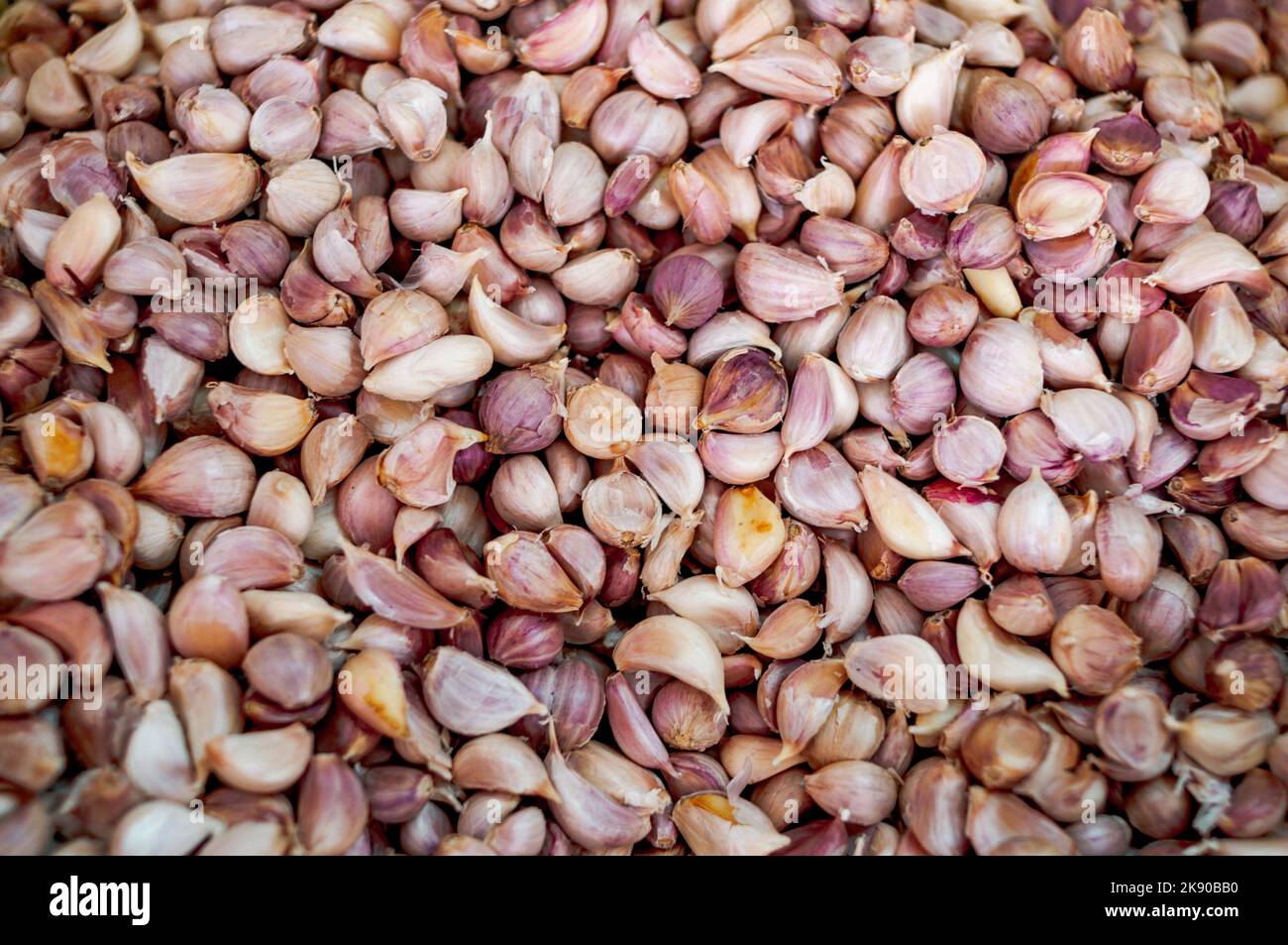small Garlic cloves close up Stock Photo - Alamy